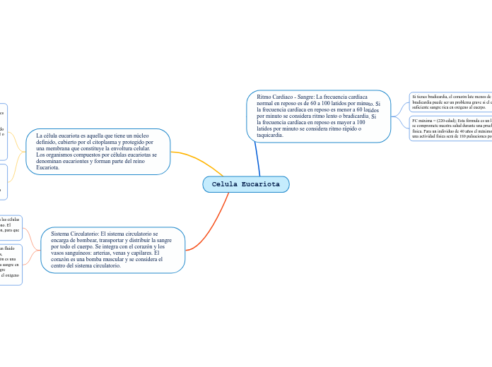 Celula Eucariota - Mind Map